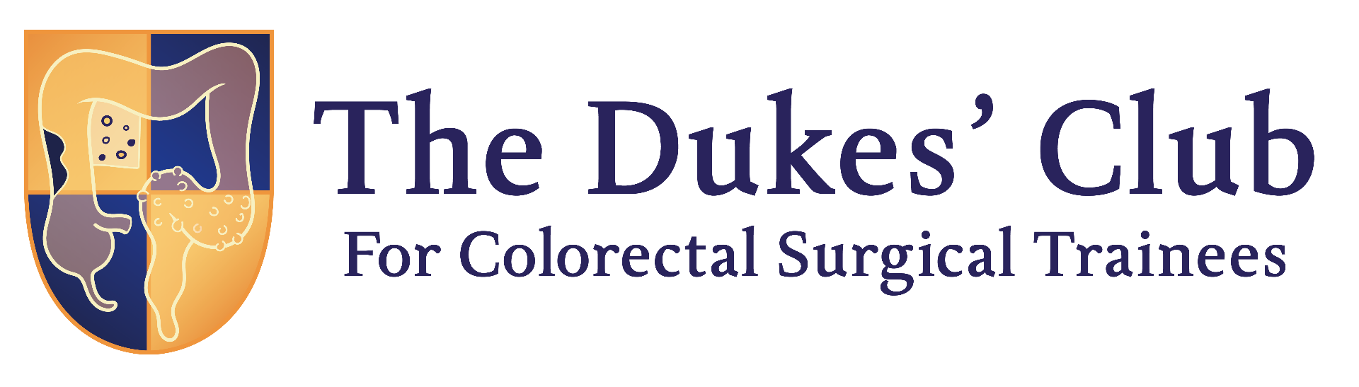 The Future of Colorectal Surgery - Delphi Study